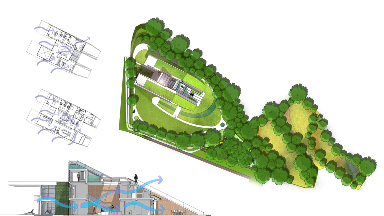 GREEN ROOF HOUSE — Map Design